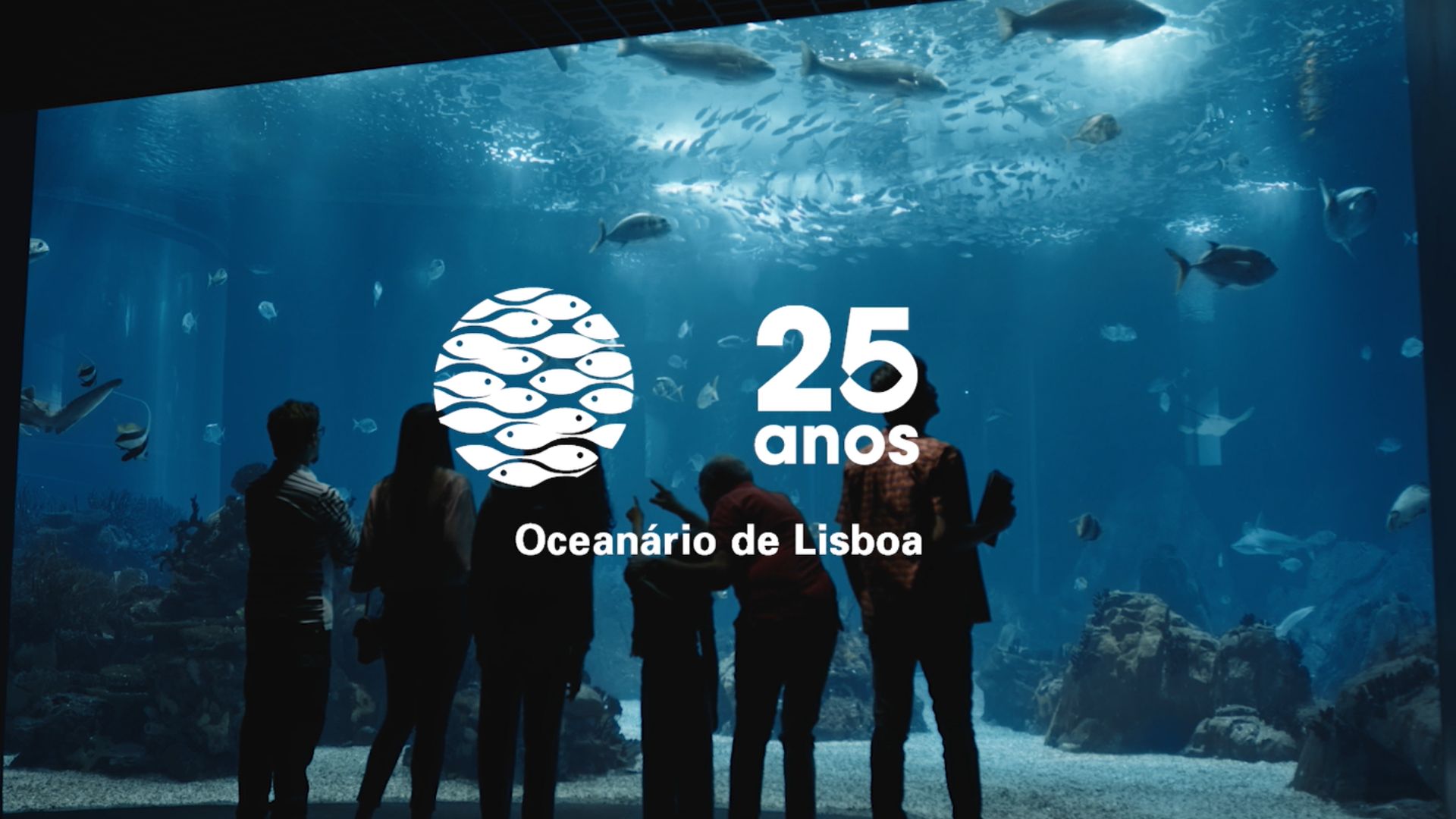 A Tux&Gill sopra as 25 velas do Oceanário de Lisboa - Briefing: Todas ...